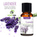 Essential Oil Fragrances for Aromatherapy Diffusers. – NATURAL ZEBRA