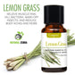 Essential Oil For Aromatherapy Diffusers (Pack of 6) – NATURAL ZEBRA