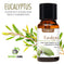 Essential Oil For Aromatherapy Diffusers (Pack of 6) – NATURAL ZEBRA
